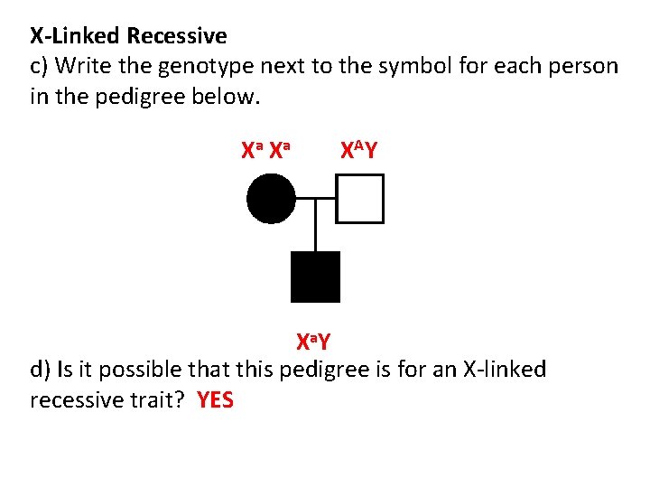 Lab Pedigree Analysis BIOLOGY UNIT 7 GRADING RUBRIC