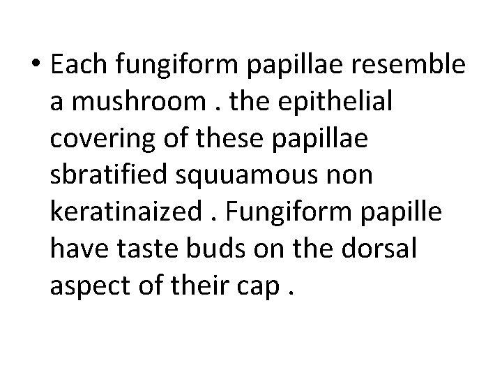 General Histology Practical Lab 10 2 Tongue The