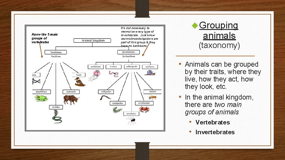 How Animals Live Chapter 2 Review What do