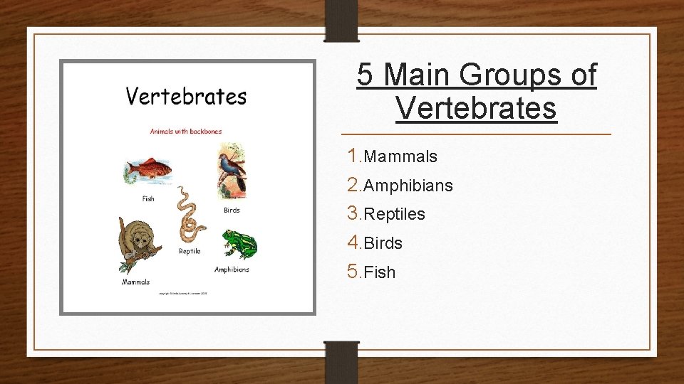 How Animals Live Chapter 2 Review What do