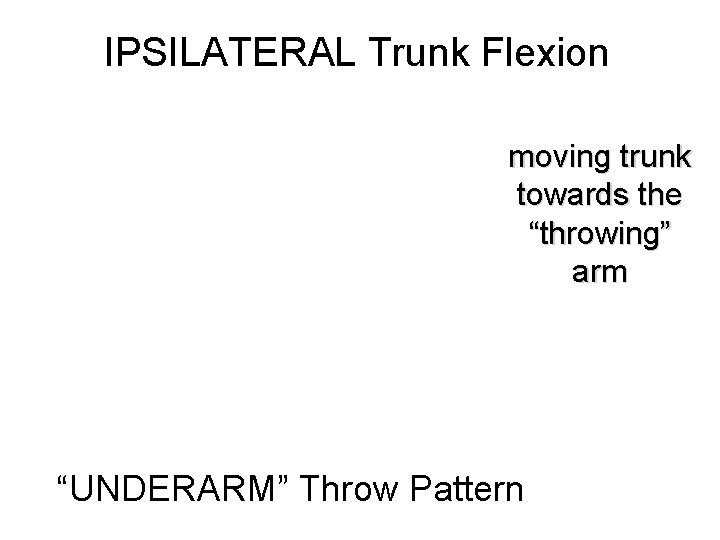 V C Muscular Stability Abdominal muscles on ventral