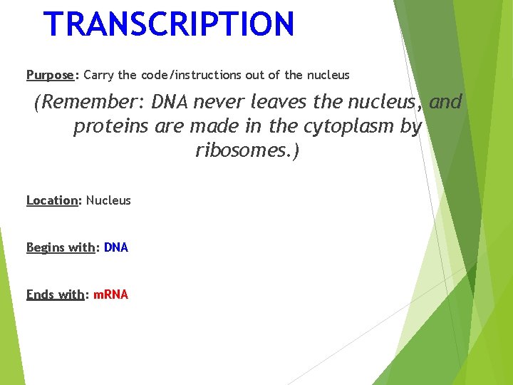 Unit 5 Protein Synthesis Protein Synthesis The process