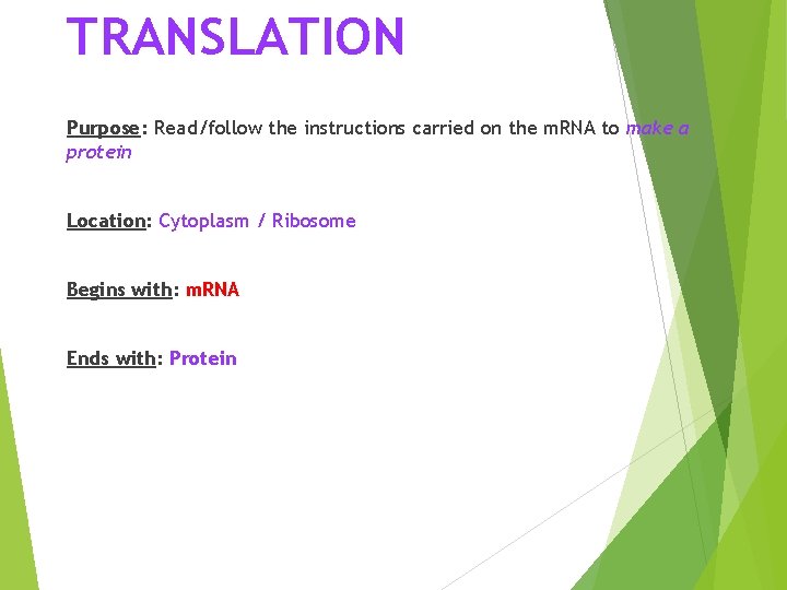 Unit 5 Protein Synthesis Protein Synthesis The process