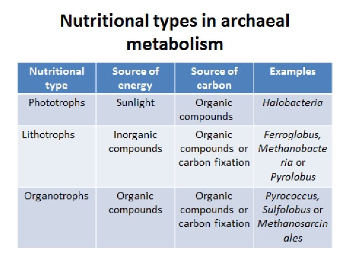 Archaebacteria The Archaea constitute a domain of singlecelled