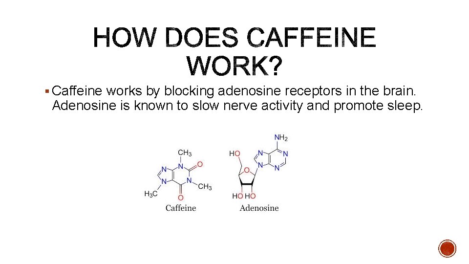 Kathryn Kelley Caffeine works by blocking adenosine receptors