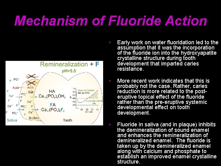 Fluoride and Caries Prevention in Children Brief History
