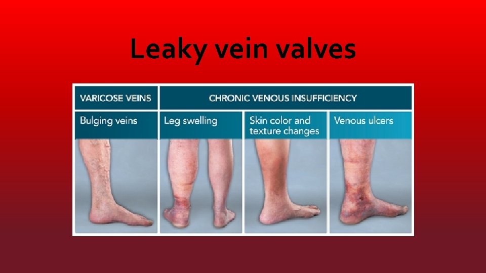 REVIEW 6 2 The blood system Nature of