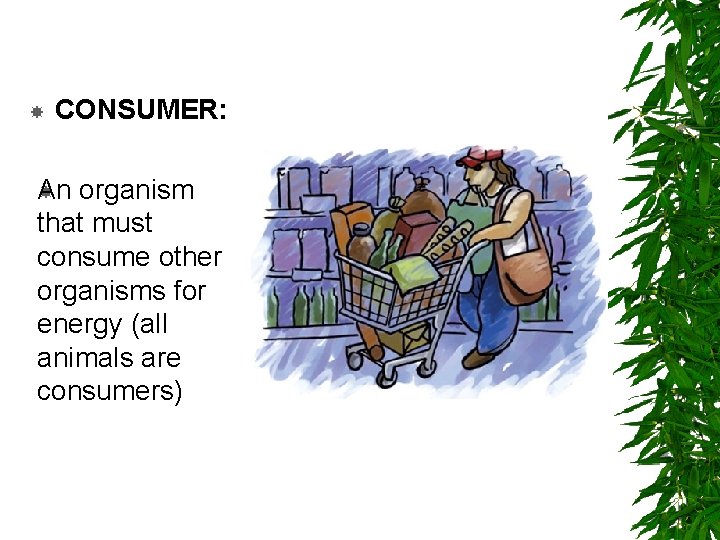 Ecosystems Ecosystem All the living organisms and their