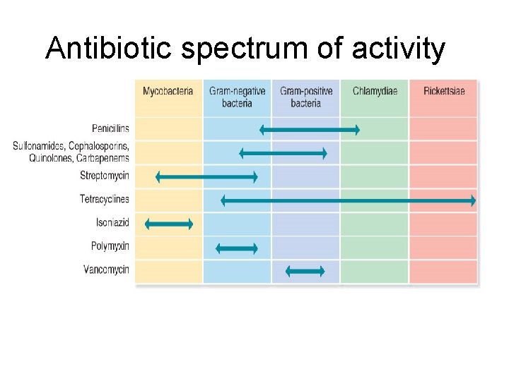 This term include antibiotics and chemically synthesized drugs