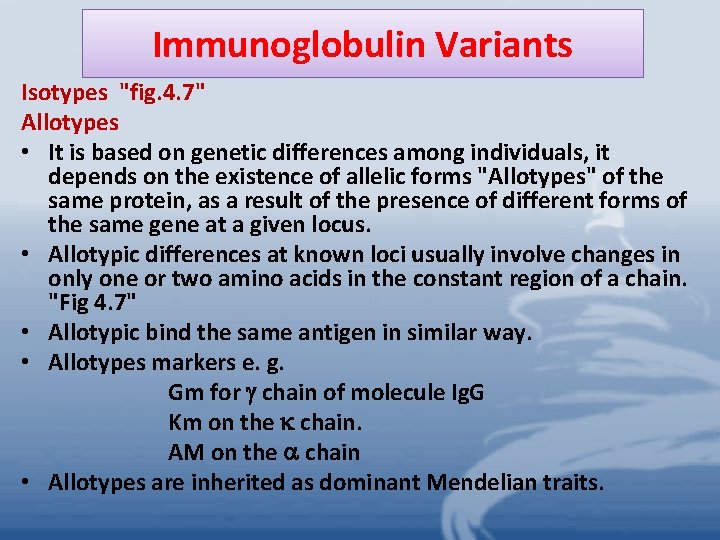 Antibody Structure and Function Immunoglobulins are expressed as