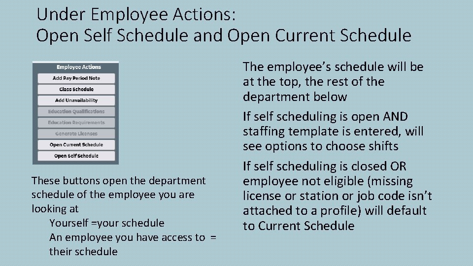 DIFFERENT BUTTONS for VIEWING SCHEDULES Under Employee Navigator