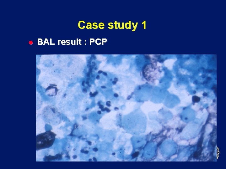 Case studies in OI management Module 4 Sub