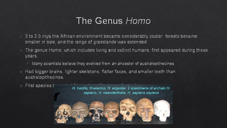 Hominoids to Hominins Hominoids Include all nonmonkey anthropoids
