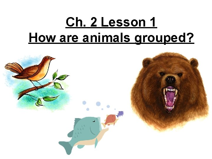 Ch 2 Lesson 1 How are animals grouped