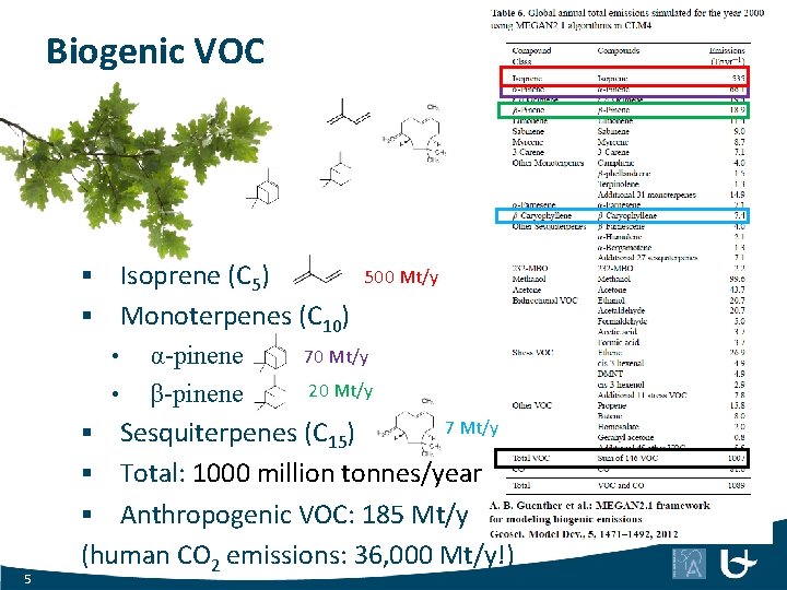 Organic aerosol from the oxidation of biogenic organic