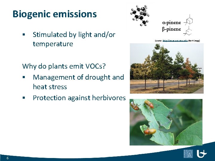 Organic aerosol from the oxidation of biogenic organic