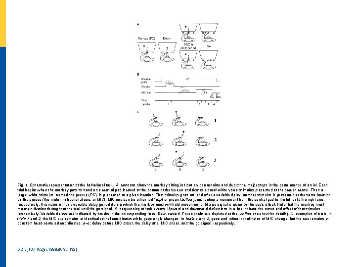 Fig 1 Schematic representation of the behavioral task