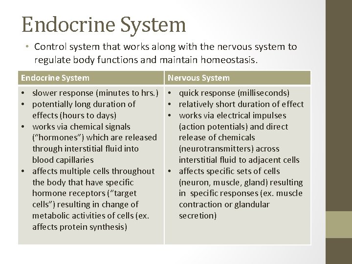 Endocrine System The endocrine system is one of