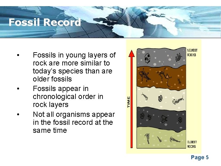 SBI 3 U EVIDENCE FOR EVOLUTION Page 1