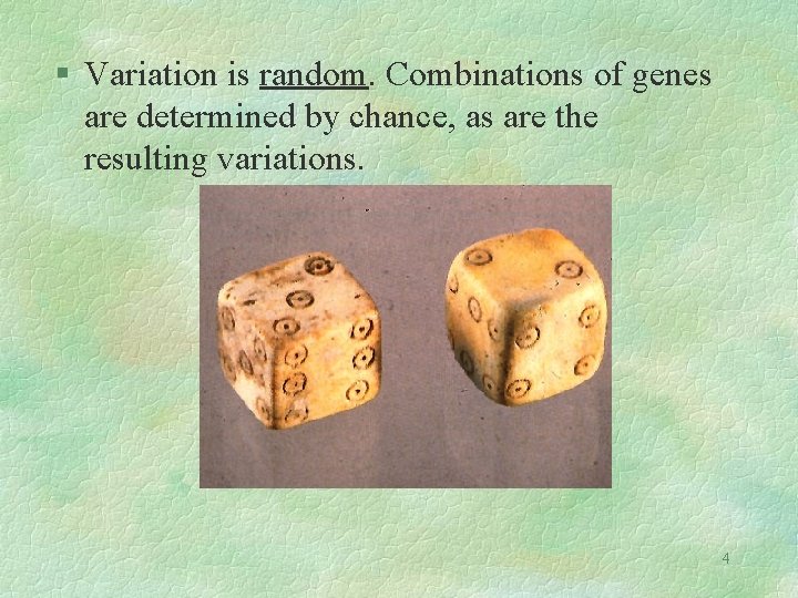 The role of Genetics and DNA in Evolution