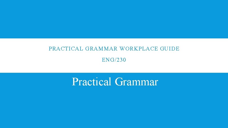 PRACTICAL GRAMMAR WORKPLACE GUIDE ENG230 Practical Grammar INTRODUCTION