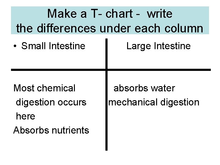 7 th Grade Semester Review Divide a paper
