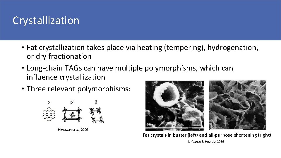 Shortenings in Foods Corinne Kowald 492019 Background Originally