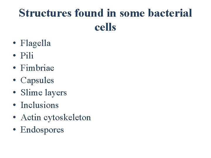 Chapter 4 Prokaryotic Profilesthe Bacteria and Archae How