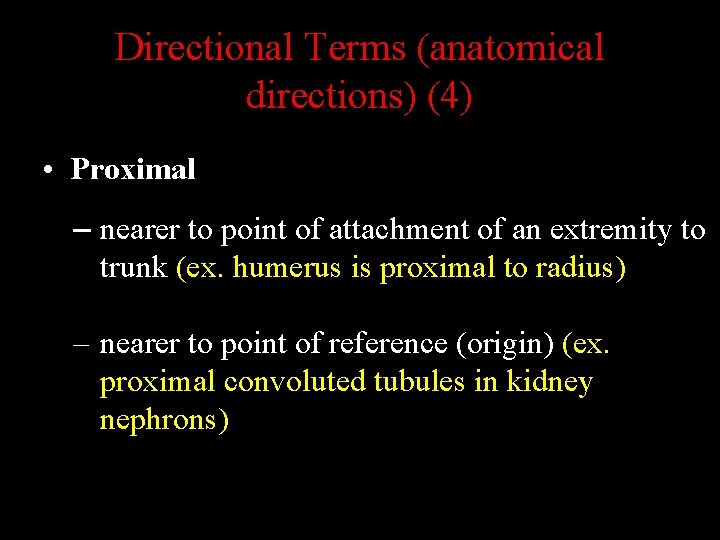 Body Organization and Terminology Lab Exercise 2 Bio