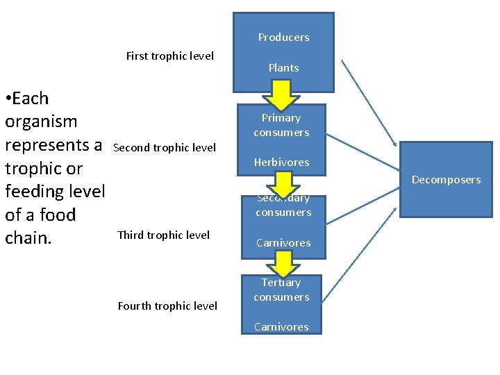 Feeding relationships Basic terminology Food chain a simplified