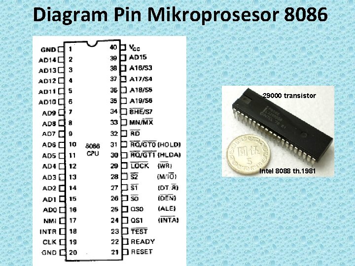 ARSITEKTUR INTERNAL MIKROPROSESOR 8086 29000 transistor Intel 8088