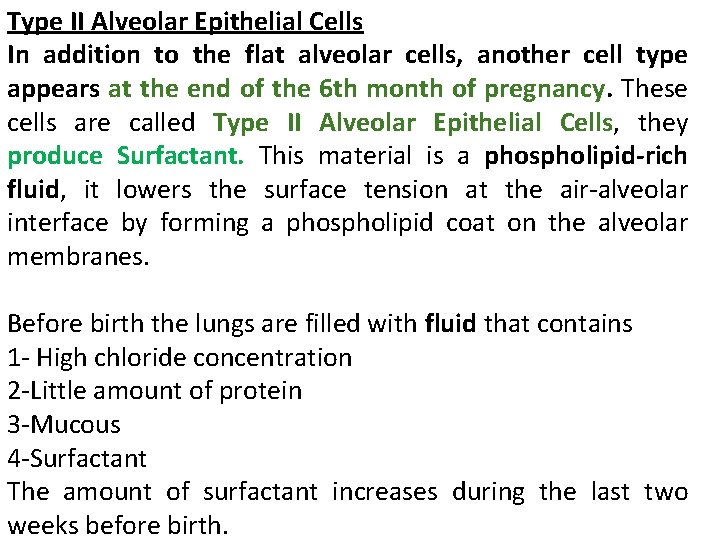Embryology of the Respiratory System II Prof Abdulameer