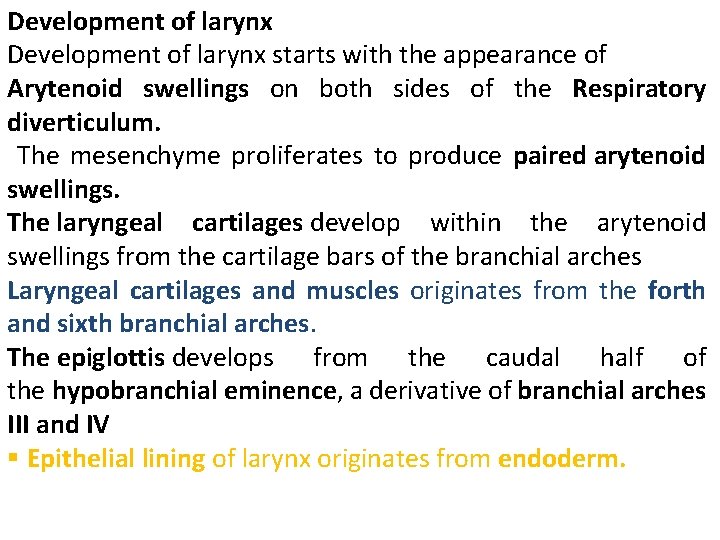Embryology of the Respiratory System II Prof Abdulameer