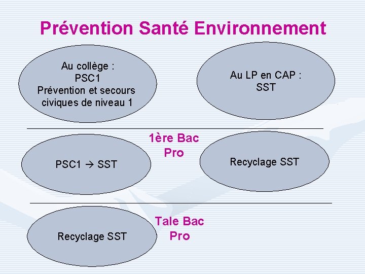 PSE Prvention Sant Environnement Prvention Sant Environnement Sant