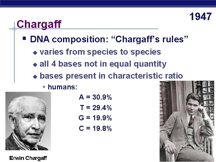DNA The Genetic Material Replication AP Biology 2005