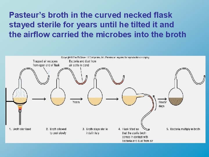 Chapter 1 The Science of Biology What were