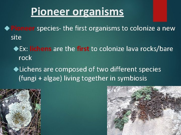 Ecological Succession is a series of changes in