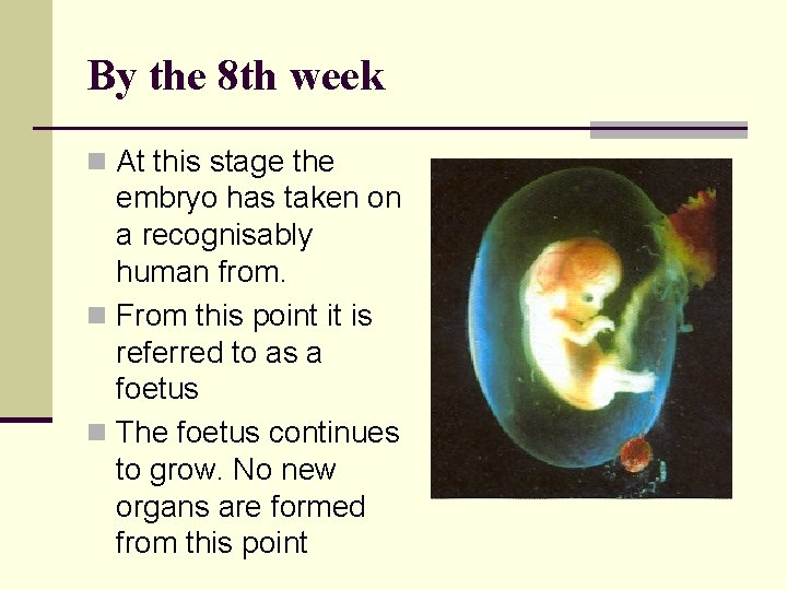 Human Embryo Development Extended Study Learning Objectives n