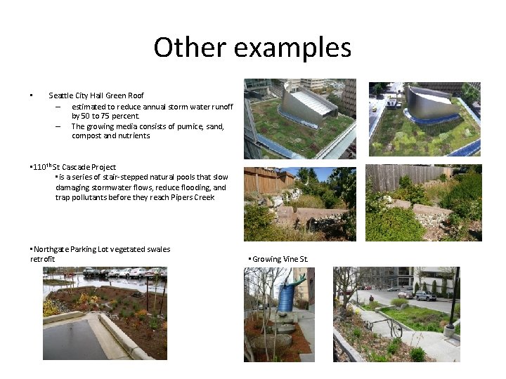 Seattle Stormwater Runoff Remediation www assignmentpoint com What