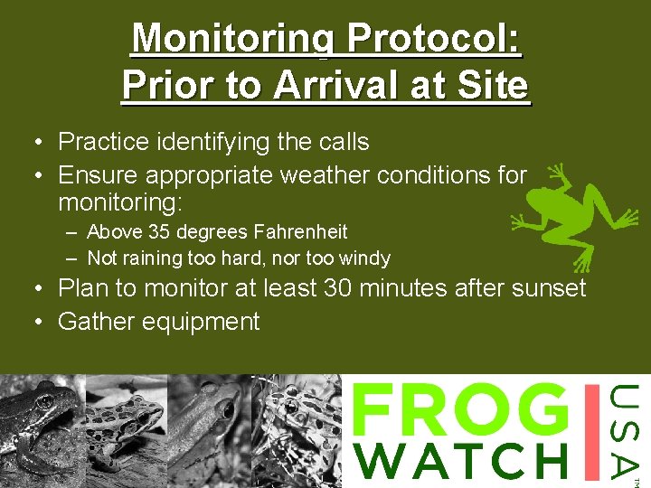 Frog Watch USA Basics 1302015 Benefits to Frog