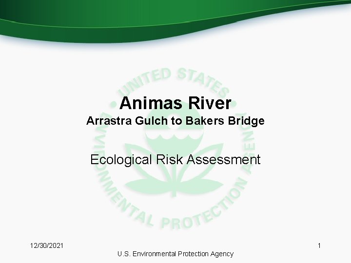 Animas River Arrastra Gulch to Bakers Bridge Ecological