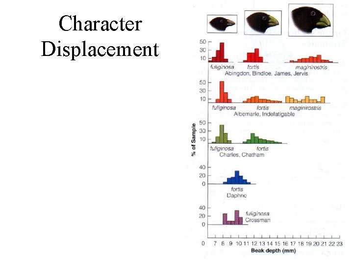 Types of Interactions Between Organisms I The Niche