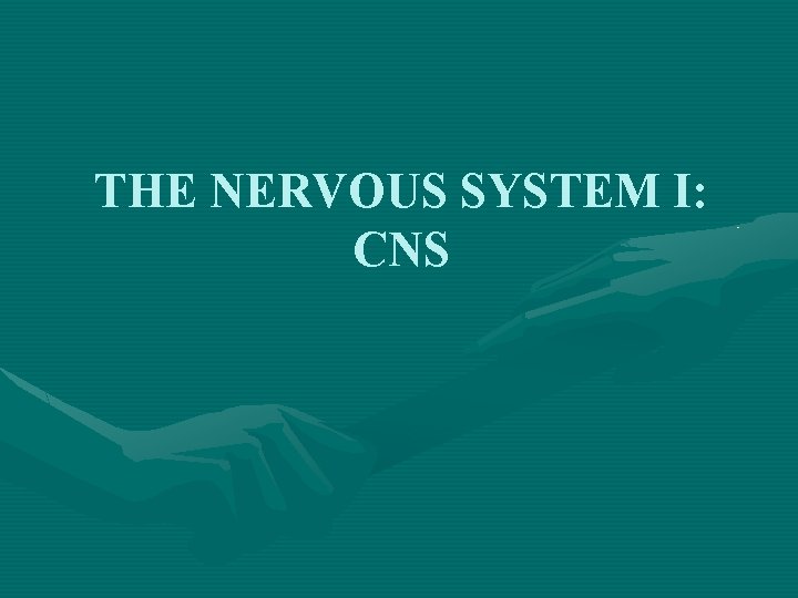THE NERVOUS SYSTEM I CNS FUNCTIONS collection of