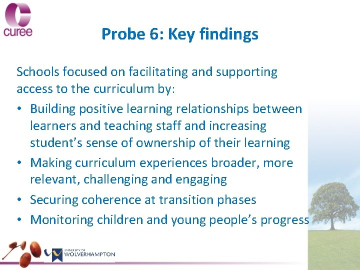 Narrowing the achievement gap through curriculum development probe