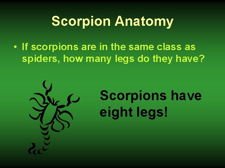 Scorpions Stuff you never knew about Scorpions Scorpions