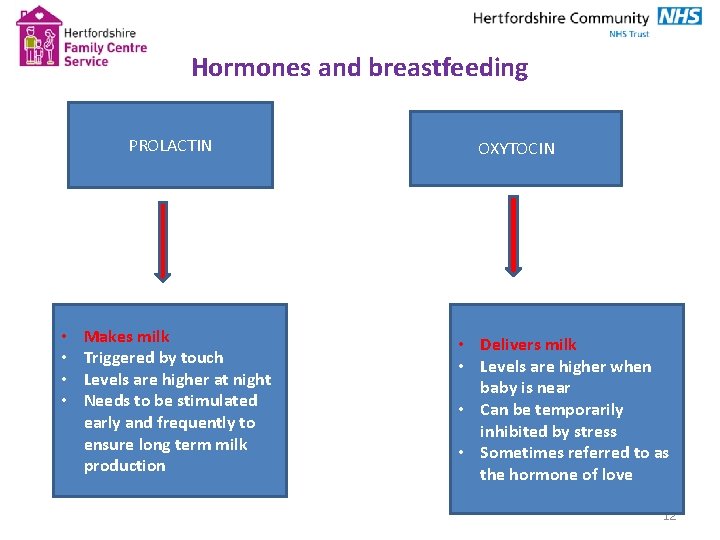 Feeding your baby Supporting your babys brain development