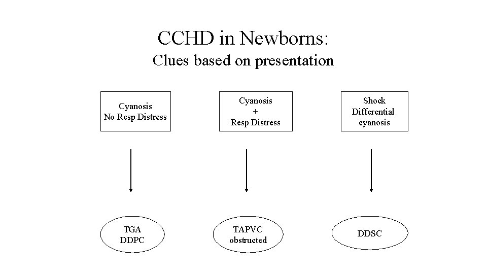 Fetal and neonatal circulation Rudolph congenital heart diseases
