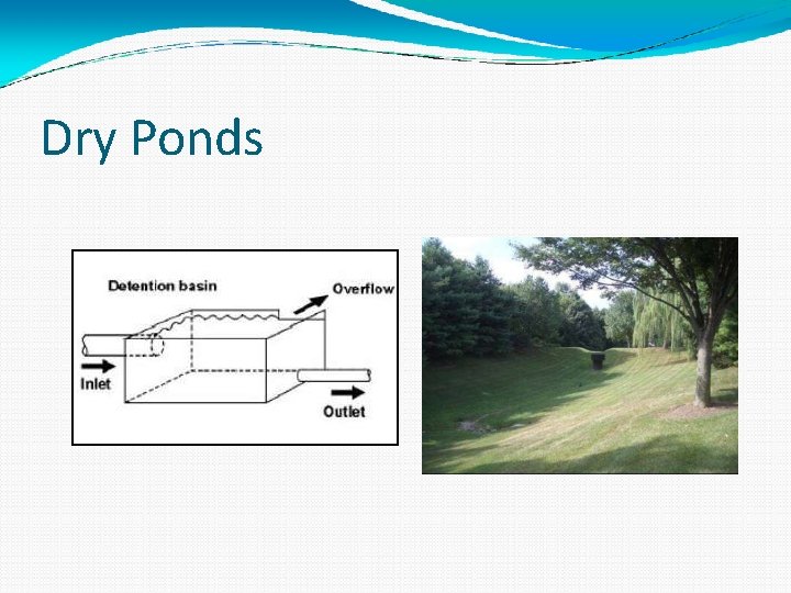 Presented by Sheri Lott Watershed Steward Student December