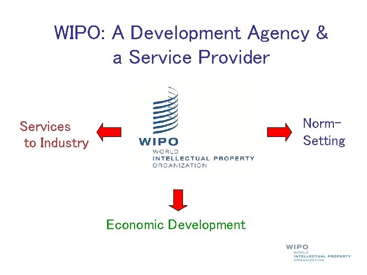 An Introduction to WIPO Sergio Balibrea Miembro de