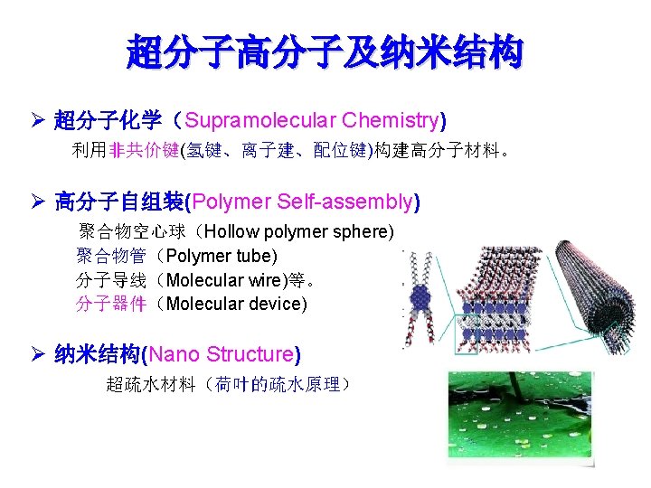 Linear Polymer Branched Polymer Crosslinked Polymer Star Polymer